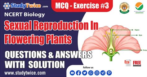 Sexual Reproduction In Flowering Plants Neet Botany Test 1