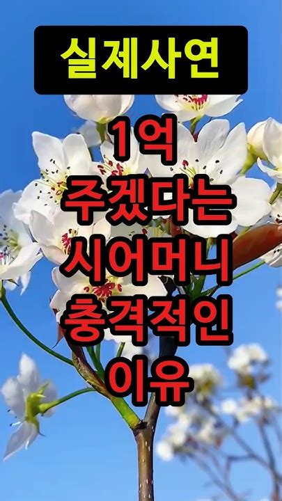 1억 주겠다는 시어머니의 충격적 이유 Youtube