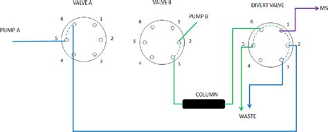 Scheme Of Valve Connection Of HPLC MS System Valve A Connects Pump A Download Scientific