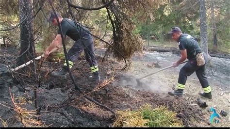 ამ დროისთვის დასახლებულ პუნქტებზე ხანძრის გავრცელების სამუშაოები მოსხნილია Youtube