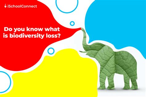 Biodiversity Loss Causes