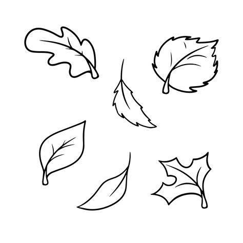 Cartoon Leaf Black And White