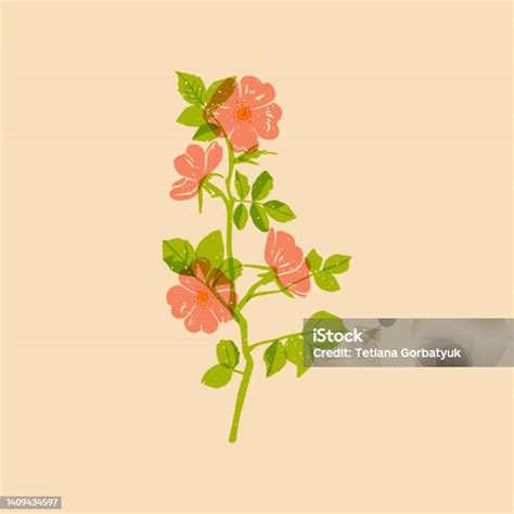 야생 장미 다채로운 귀여운 스크린 인쇄 효과 리소 인쇄 효과 벡터 일러스트레이션 리노컷에 대한 스톡 벡터 아트 및 기타 이미지