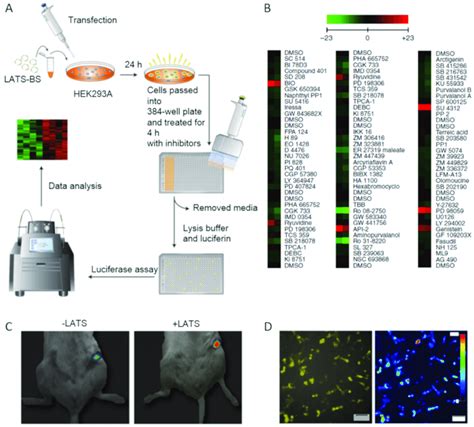 Lats Bs Application To Several Experimental Models A Experimental