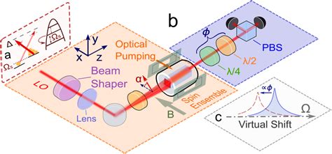 Schematics Of The Experimental Setup A The Spin Ensemble Is Probed By Download Scientific