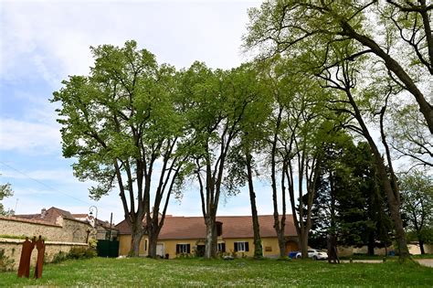 საქართველოს საქართველოს კულტურის მინისტრი თინათინ რუხაძე და მინისტრის მოადგილე ბექა