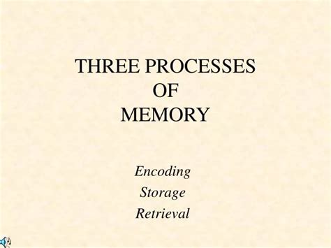 Ppt Three Processes Of Memory Powerpoint Presentation Free Download