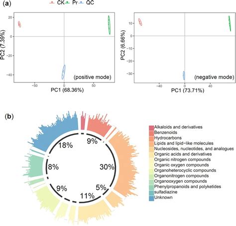 Overall Analysis Of Metabolomics Data A Pca Analysis Of The Two Download Scientific Diagram