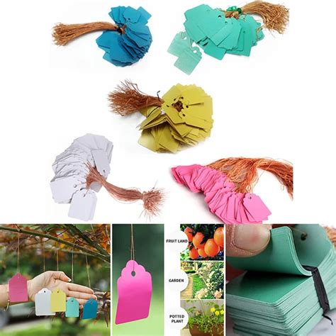 Classification Tool Hanging Label Tree Markers Fruit Trees Signs Plant