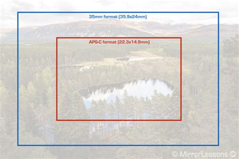 Best Canon M50 Lenses Our Guide For The Eos M50 M50 Ii M6 Ii And