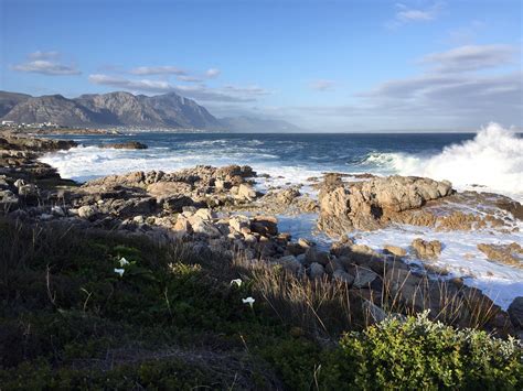 HPP Newsletter October 2022 Hermanus Public Protection
