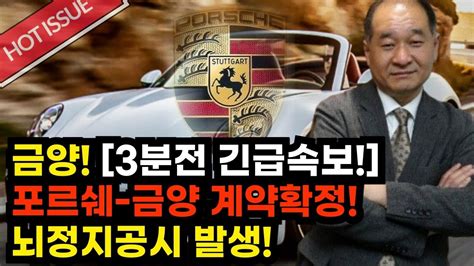 🔵 금양 긴급 포르쉐 타이칸 4695배터리 공급계약 확정 뇌정지공시 발생 한화 신한금투 시간외 이 가격에서 급매수 전환 결국 급등은 이렇게 순식간에 나옵니다