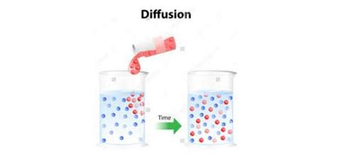 Simple Diffusion Quiz Proprofs Quiz