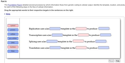 Solved Interactive Foundation Figure Information Flow Chegg Com