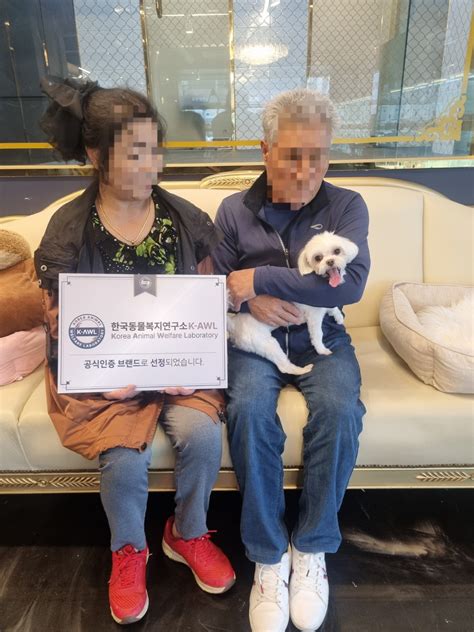 말티즈 소금 스피츠성격 시바견성격 시베리안허스키성격 시츄성격 요크셔테리어성격 웰시코기성격 이탈리아그레이하운드성격 치와와성격 코카스파니엘성격 폼스키성격 폼치성격 폼피츠성격