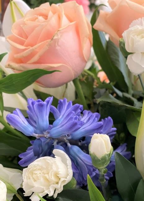 Yong Xue He Obituary Vancouver Bc