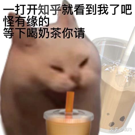 一打开知乎就看到我了吧表情包分享 知乎