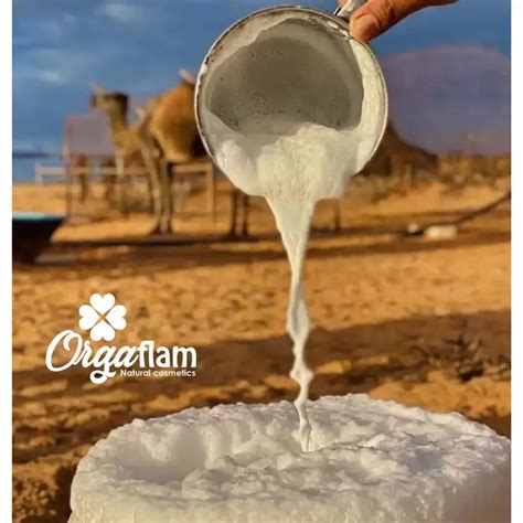 Lait De Chamelle Frais Orgaflam