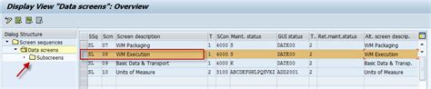 Solved Wm Execution View Sap Community