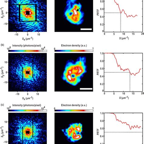 Diffraction Patterns Left Panel Phase Retrieved Electron Density