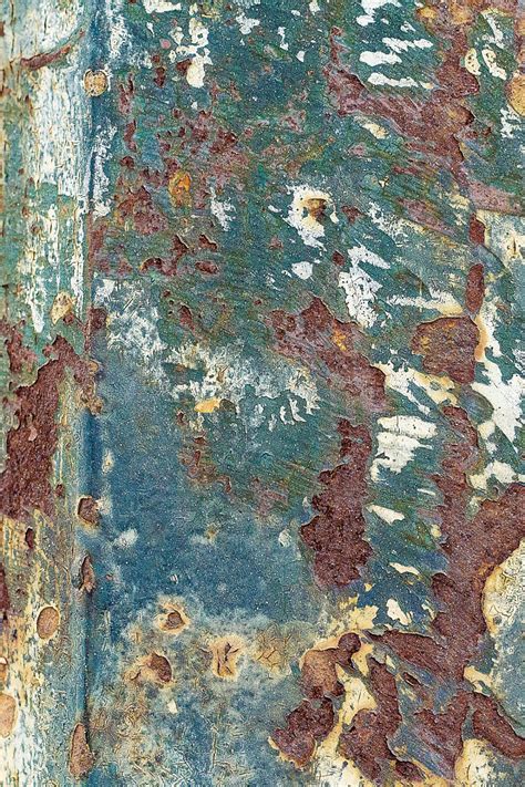 무료 이미지 나무 지저분한 조직 잎 무늬 가을 그런지 자료 그림 풍화 된 직물 미술 배경 지질학 노화 녹슬었던 태피스트리 금속의 늙은