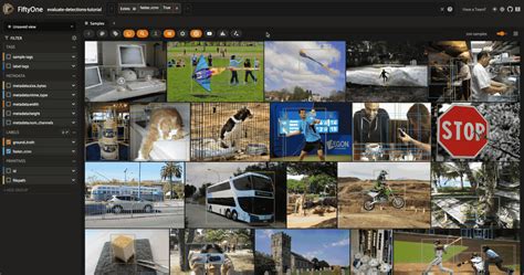 Evaluating Object Detections With Fiftyone — Fiftyone 172 Documentation