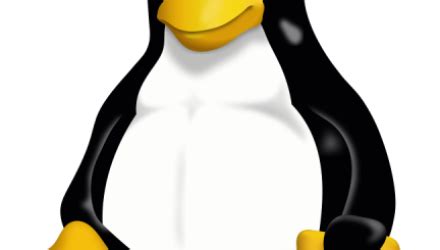 Linux 0xBEN Notes