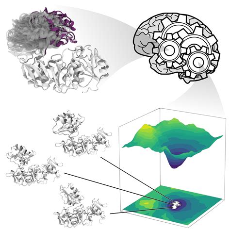 Machine Learning Protein Dynamics Degiacomi Research Group