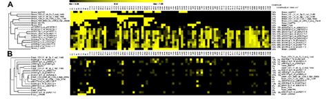 Clustering Of Ppi Detection Assays The Assays Used To Detect Each