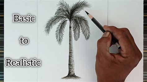 Coconut Tree Drawing Lessons