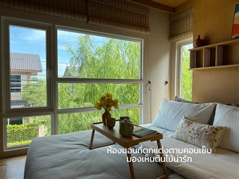 ทำความรู้จักกับ Weeping Willow Tree ต้นหลิวลู่ลม🌳 แกลเลอรีที่โพสต์โดย