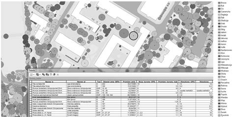 Presentation Of Species Diversity Represented By The Ranges Of Tree
