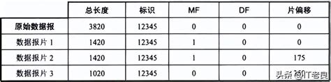 計算機網絡傳輸中IP數據報文格式詳解並結合Wireshark深入分析 每日頭條