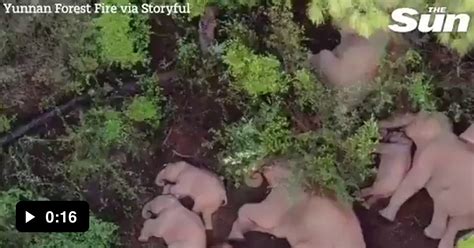 Lagi Pada Tidur Ada 1 Yg Tetap Bangun Sedang Kebagian Jaga Piket 9GAG