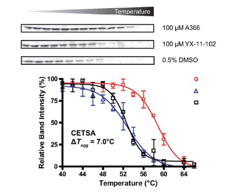 Arbeitskreis Prof Dr Manfred Jung Freiburg I Br