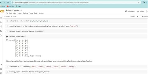 🔍🚀 Day 13 Deep Dive Into Categorical Feature Preprocessing 🖥️todays Tensorflow