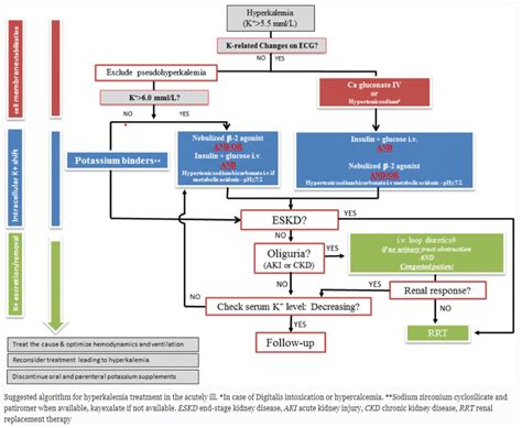 Cc Labs And Imaging —