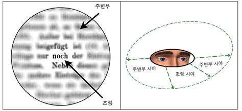 교육을 바꾸는 사람들 학습과학의 이해와 적용22 학습은 초점 주의focused