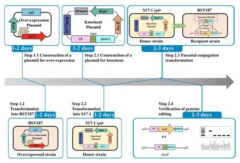 Openaccess Reproducibility Lifesciences Research Microbiology