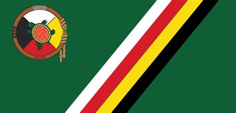 Peoples Republic Of Turtle Island Flag Memes Imgflip