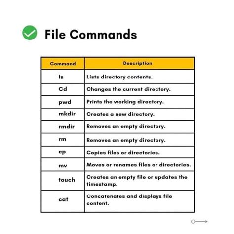 Programmer Programmer Added A New Photo
