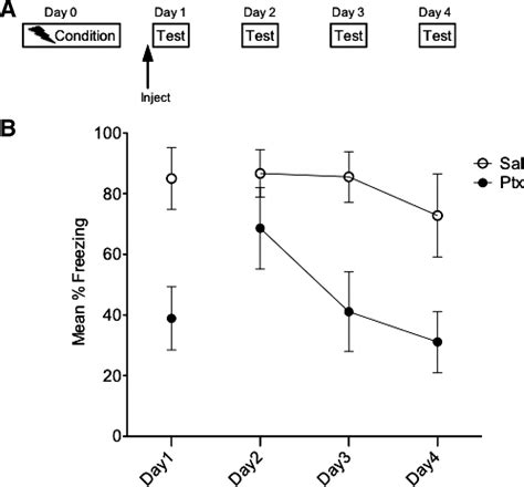 Activation Of The Infralimbic Cortex In A Fear Context Enhances Extinction Learning