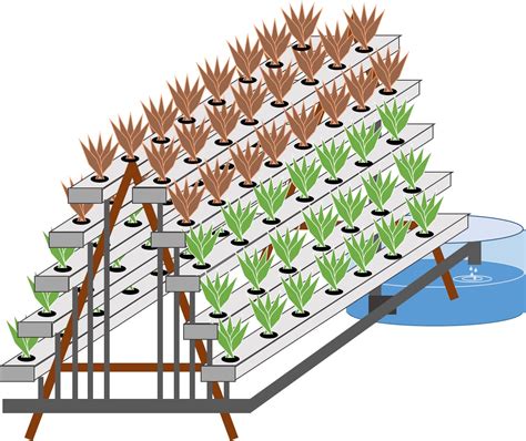 Cara Pembuatan Hidroponik Sistem Nft Dan Kendalanya Informasi Tentang Teknologi Pertanian
