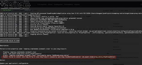 How To Support Reflection · Issue 33638 · Spring Projectsspring Boot