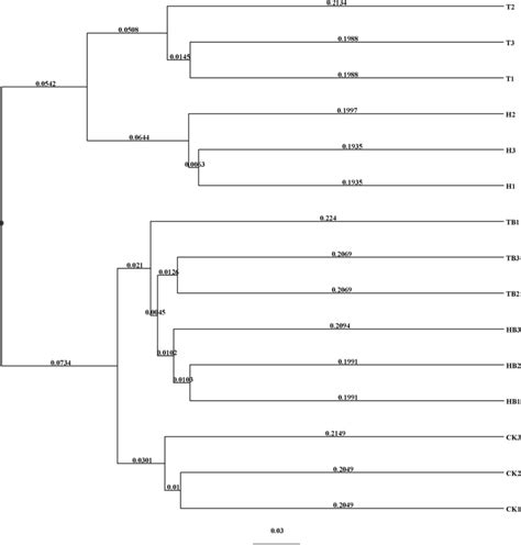 hierarchical cluster dendrogram of the bacterial community based on