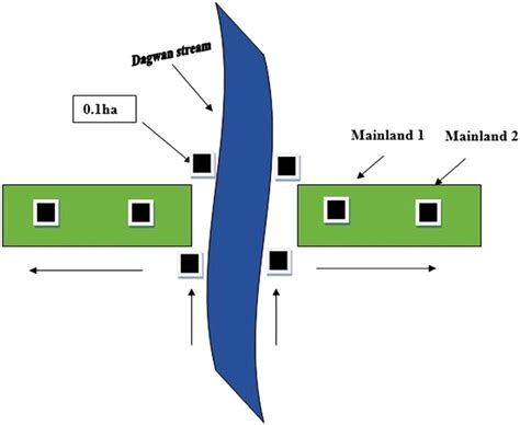 Experimental Design And Sampling Scheme With Plot Layout With Quadrats Download Scientific