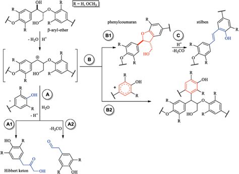 Possible Reaction Pathways After Formation Of The 훼 Carbocation In The