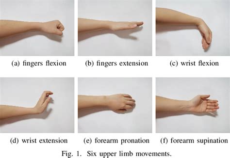 Figure 1 From Analysis Of Eeg And Semg During Upper Limb Movement Between Hemiplegic And Normal