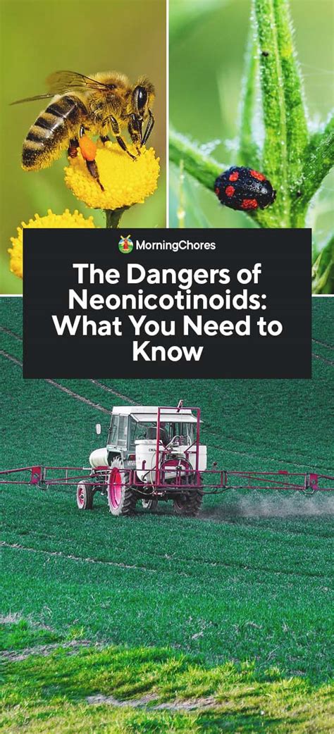 The Dangers Of Neonicotinoids Every Gardener Should Know