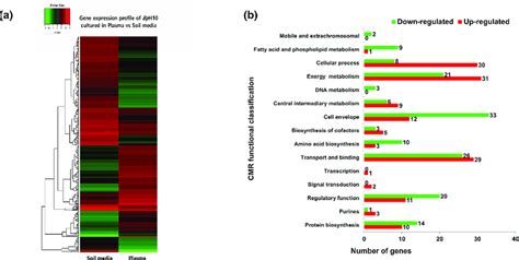 Hierarchically Clustered Expression Profile Rows For 455 B